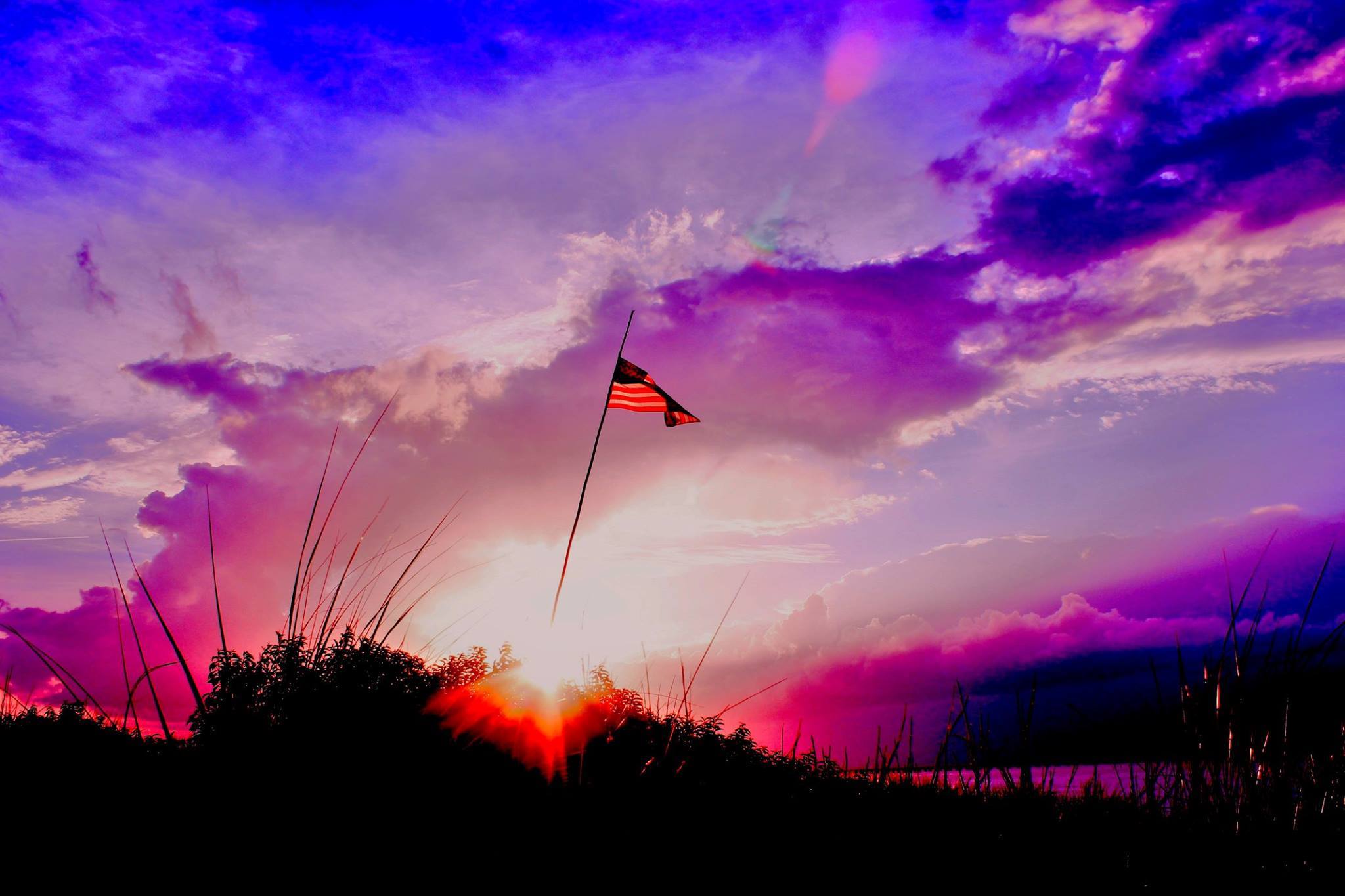 About OPCL, Bylaws and Meet the Board! – Ocean Park Civic League