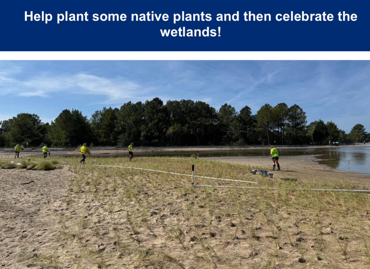 Help Plant at Pleasure House Point ! – Ocean Park Civic League